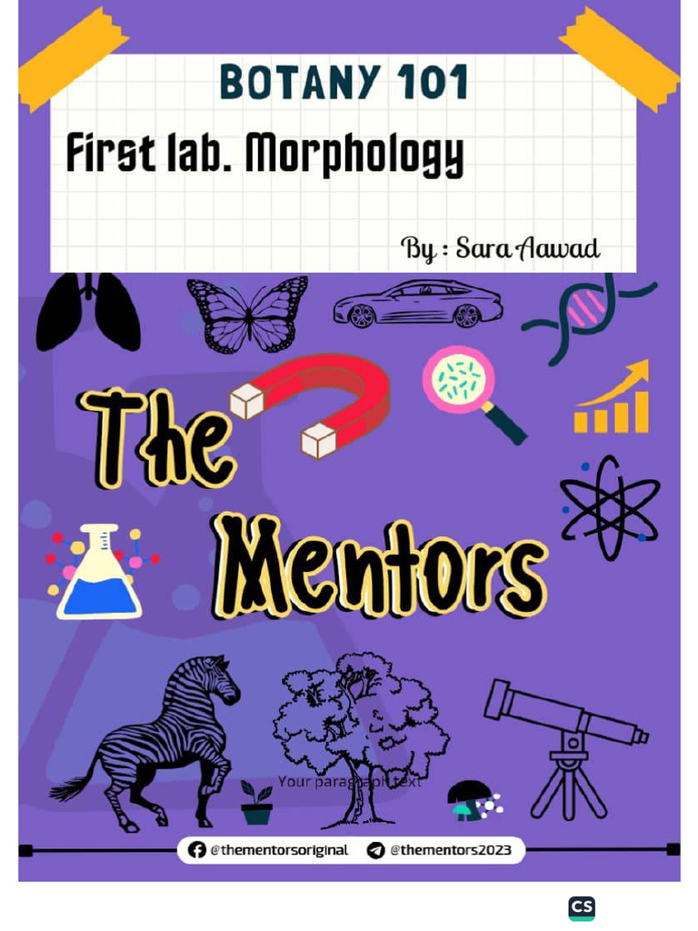 B101. Practical Morphology | PDF