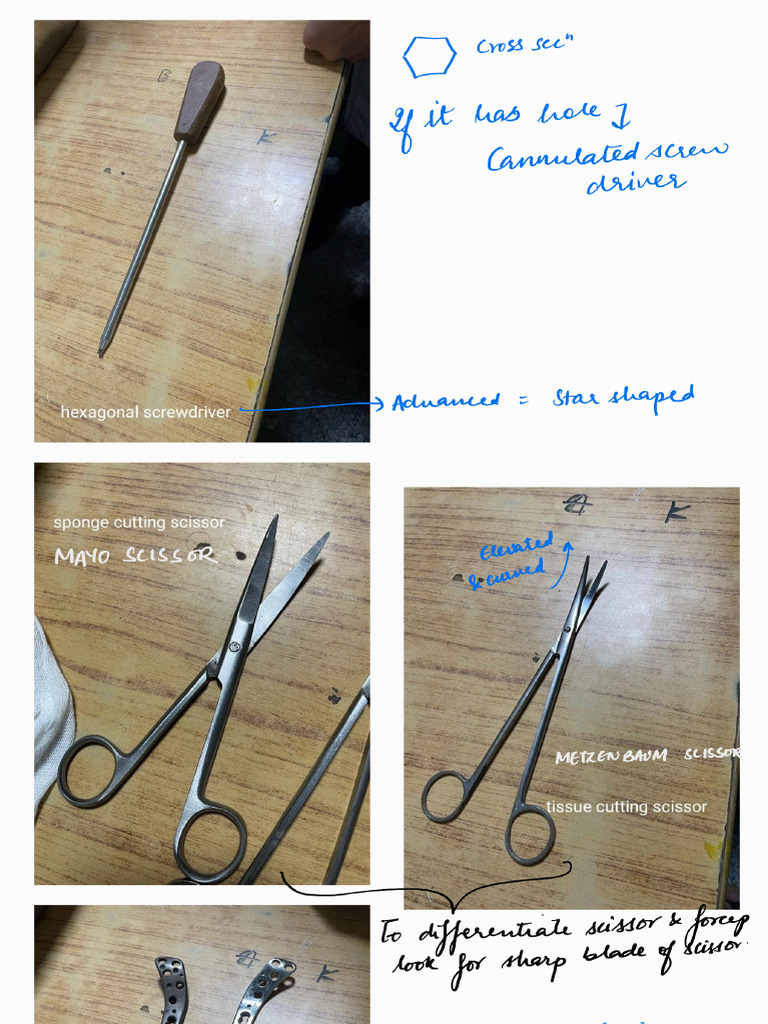 Ortho Instruments | PDF
