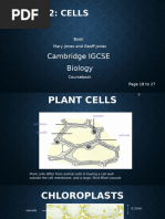 6-plant_nutrition-qp_igcse-cie-biology_ | PDF | Leaf | Photosynthesis