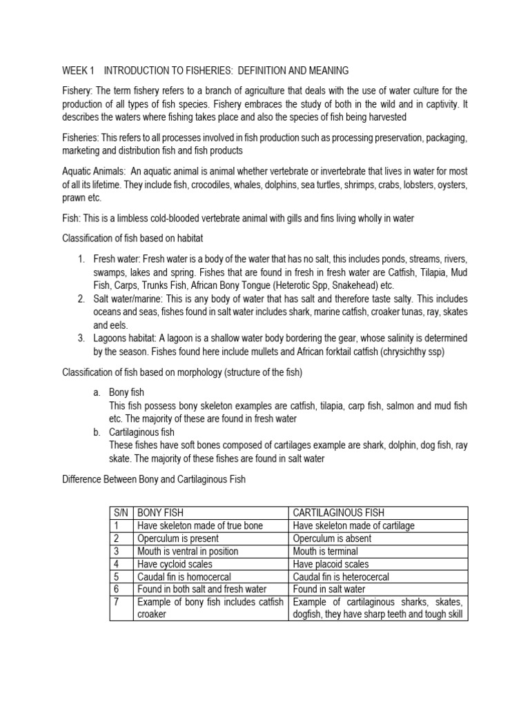 SS1 First Term Lesson Note | PDF | Fishery | Commercial Fishing