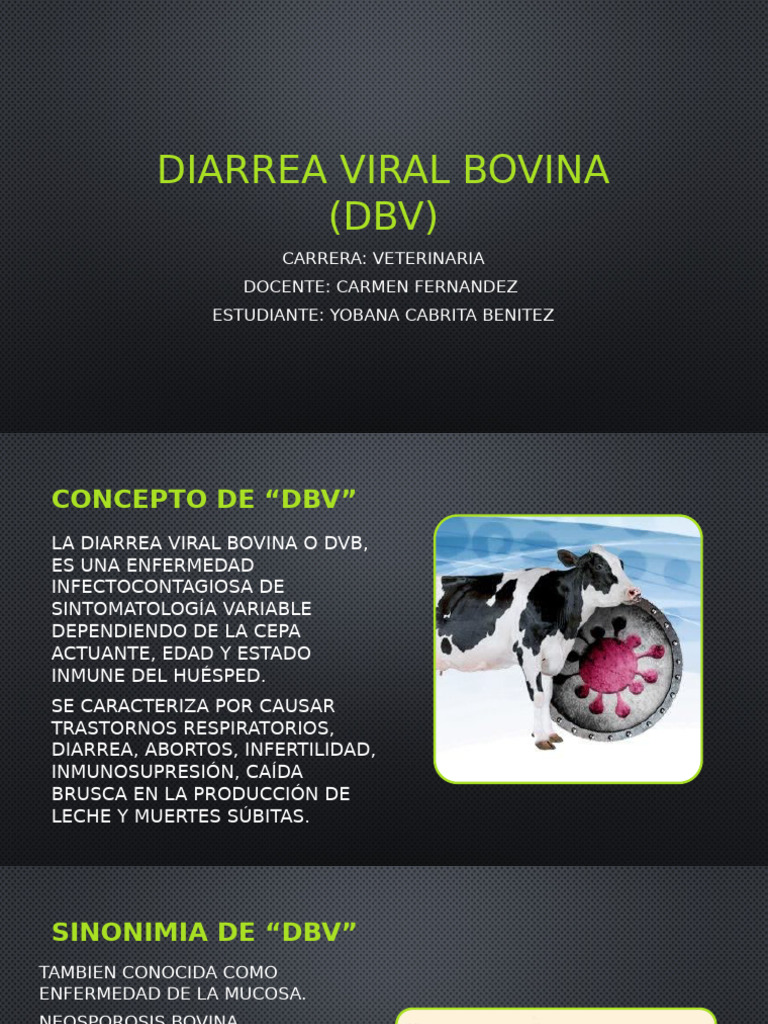 Diarrea Viral Bovina (DBV) | PDF | Diarrea | Virus
