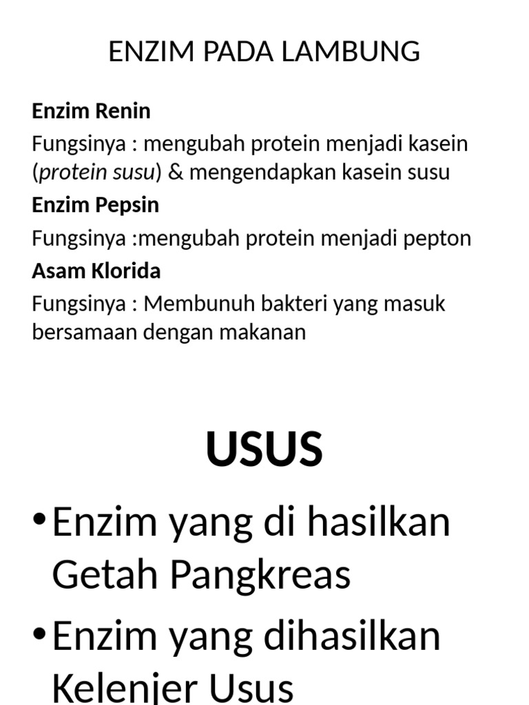 Enzim Pada Lambung | PDF