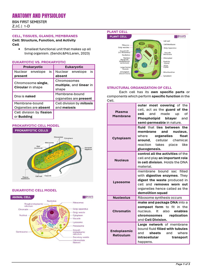 Anatomy and Physiology 2 Pmat | PDF | Mitosis | Cell (Biology)