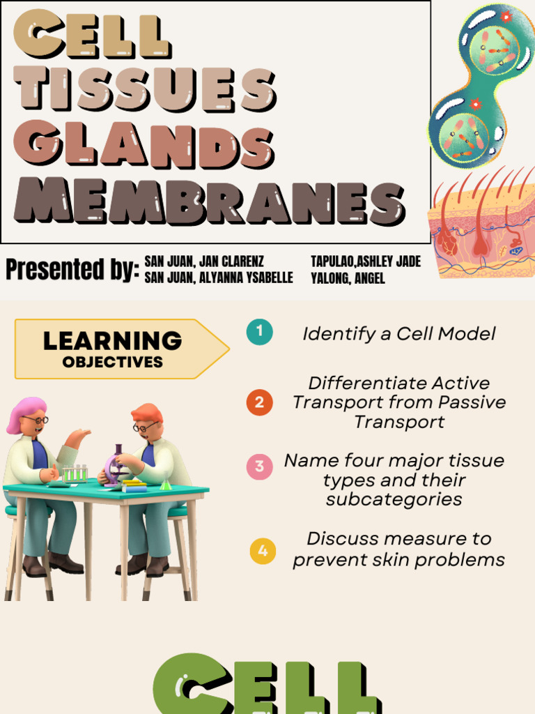 Anaphy Topic 3 Cellandtissues 20241010 164650 0000 Pdf Mitosis Endoplasmic Reticulum