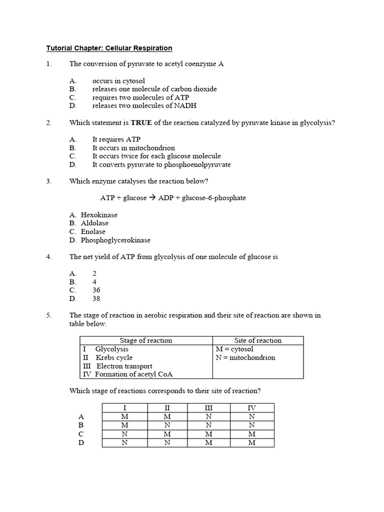 Tutorial Chapter 3 Cellular Respiration | PDF | Cellular Respiration | Glycolysis