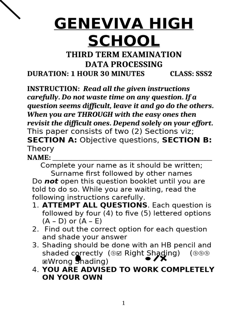 DATA PROCESSING SSS2 | PDF | Central Processing Unit | Information