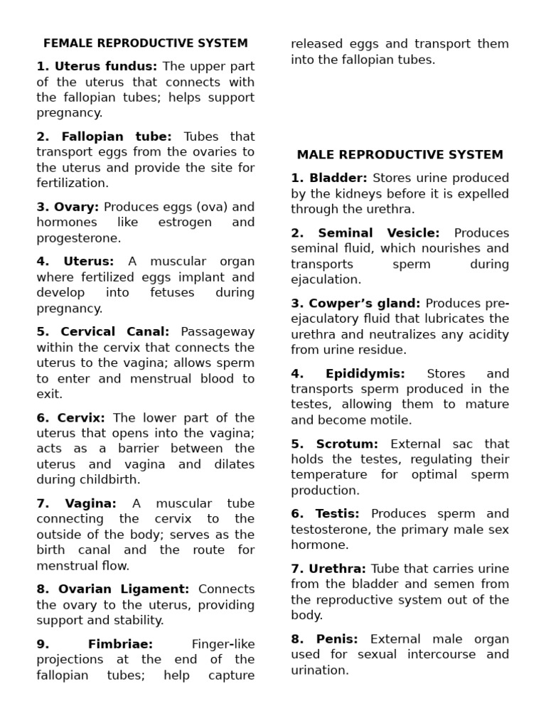 BIOLOGY REPRODUCTIVE SYSTEM | PDF | Reproductive System | Uterus