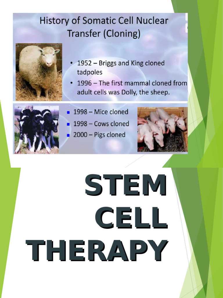 Stem Cell Therapy | PDF | Wellness