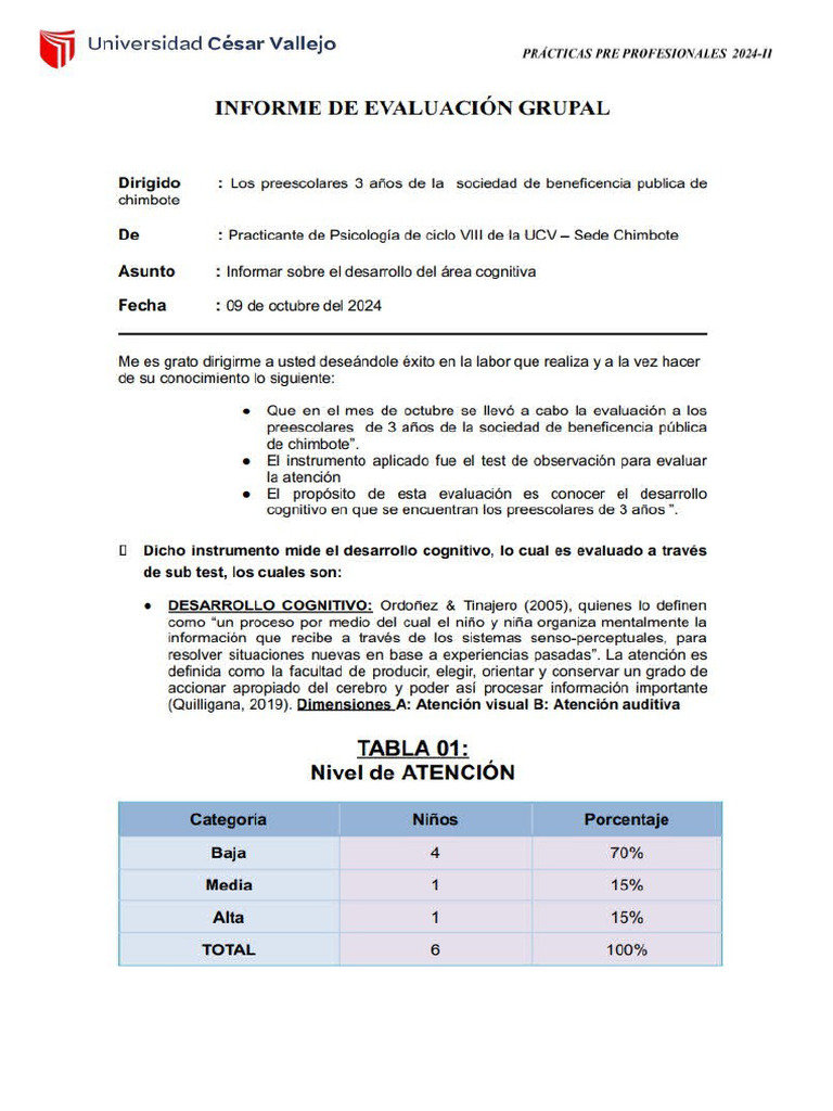 Copia de INFORME DE EVALUACIÓN GRUPAL Terminado | PDF