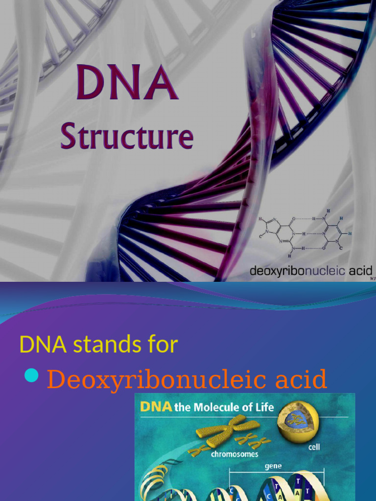 DNA and RNA Structure Overview | PDF | Rna | Dna
