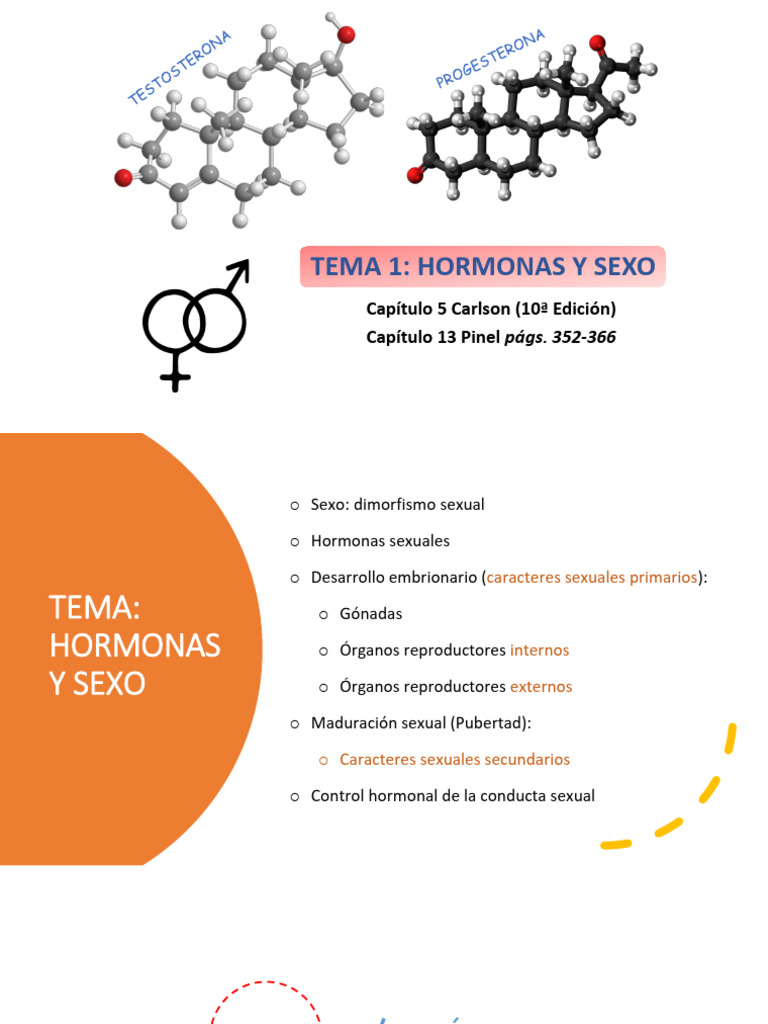Tema 1A Hormonas y Sexo 2023 | PDF | Sistema reproductivo | Gonadotropina