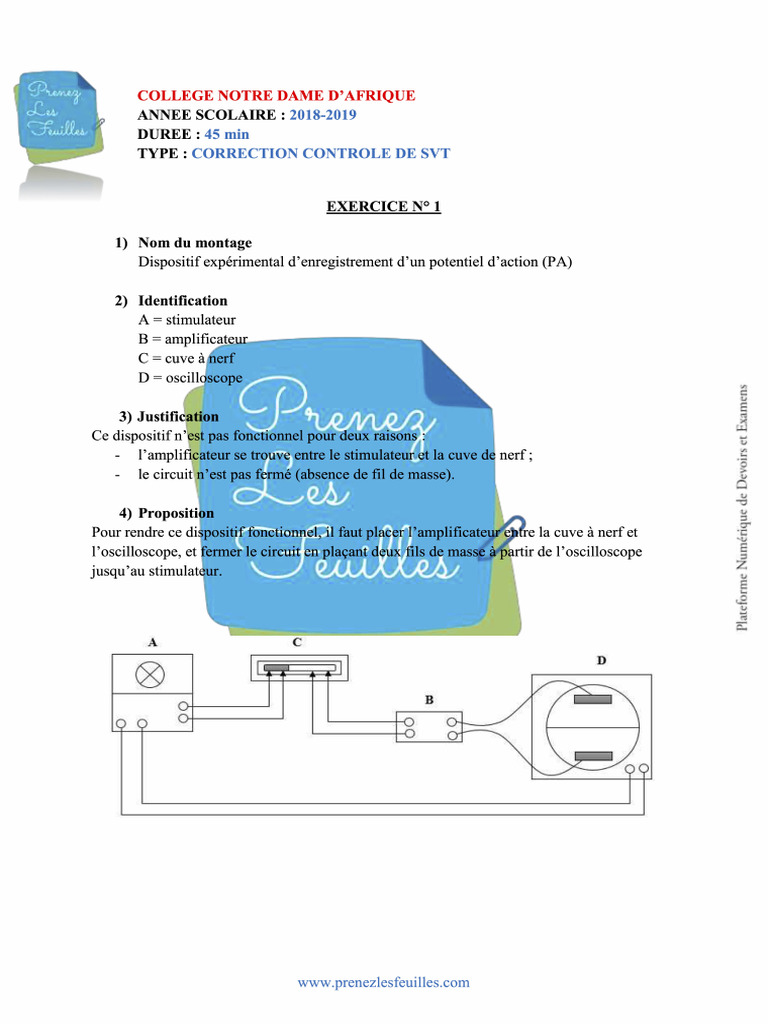 MD 2 D 8 Oae VZ TQQW Drps 7 B D1 I WCR UWCXe TZ QAGkal O | PDF