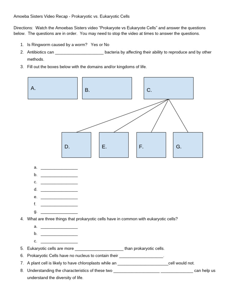 Prokaryotic vs Eukaryotic Cells Recap | PDF