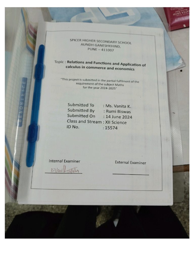 Maths Project Pdf
