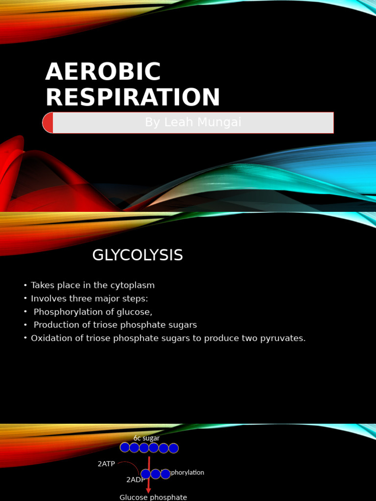 Aerobic Respiration (Autosaved) | PDF