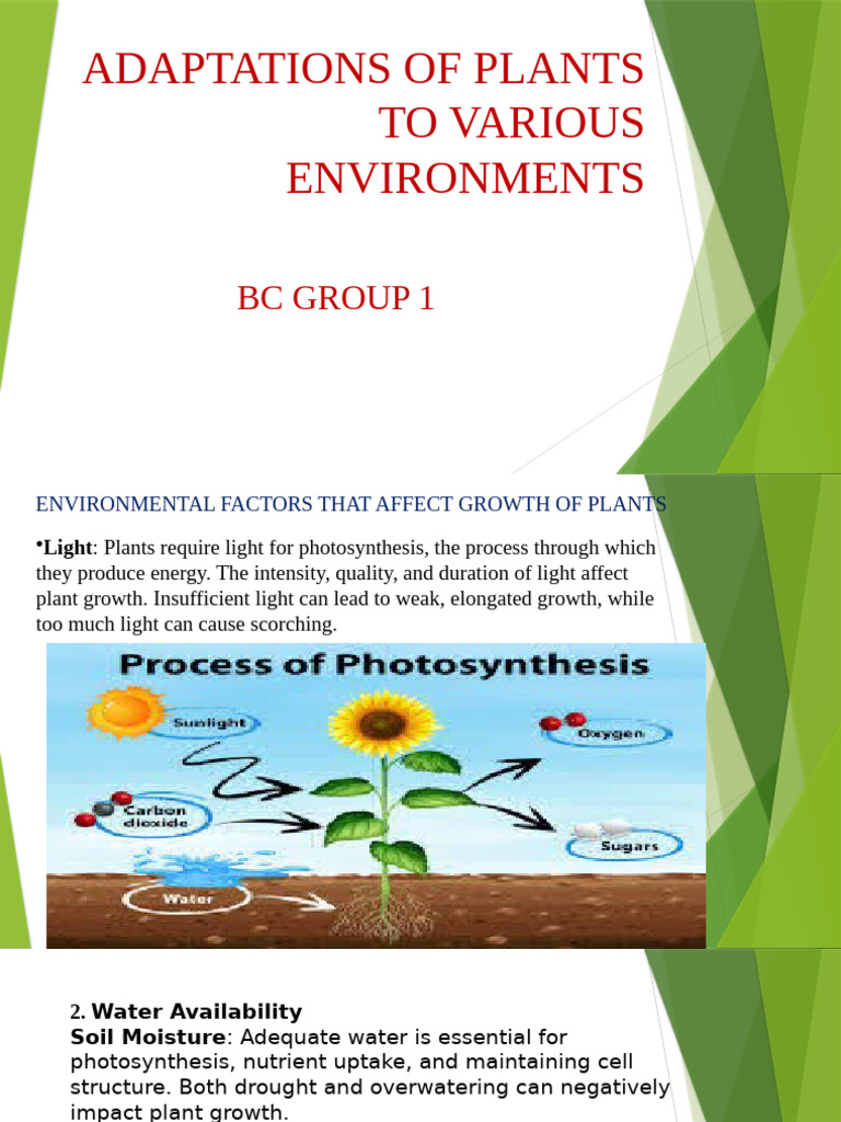 Plant Adaptations to Environmental Factors | PDF | Technology & Engineering