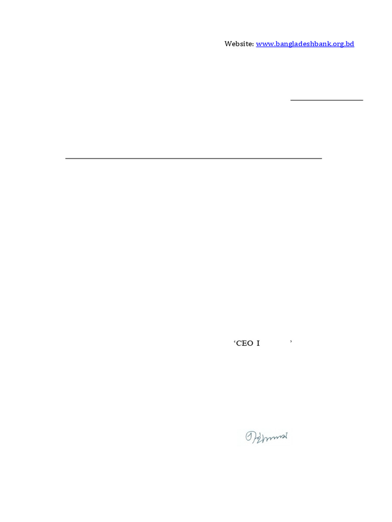 CEO Appointment Guidelines for Banks | PDF | Government | Justice