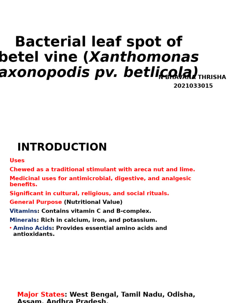 Bhavana Thrisha 202103315 PAT | PDF | Organisms | Plants