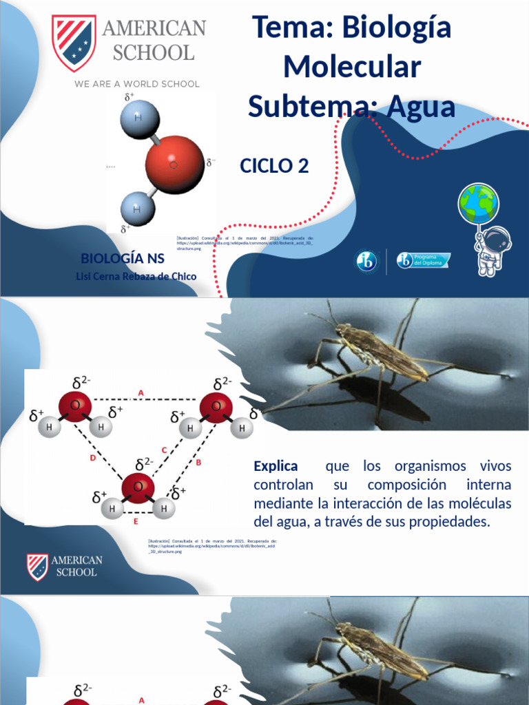 C2_BIOLOGÍA IB_10mo | PDF | Propiedades del agua | Agua