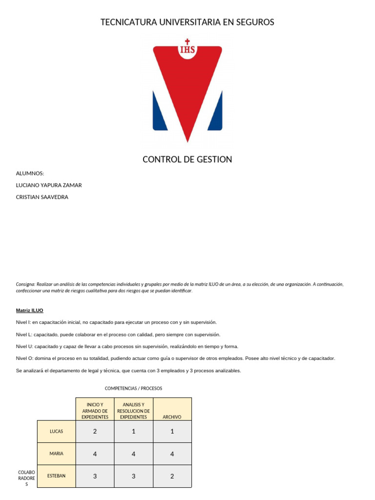 Matriz Iluo y Matriz de Riesgo | PDF | Tecnologías de la información ...