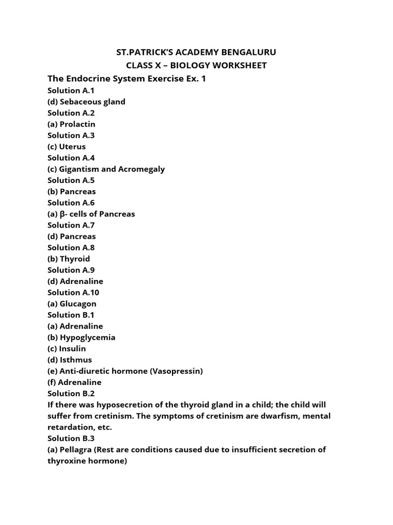 The Endocrine System Exercise Ex | PDF | Endocrine System | Pancreas
