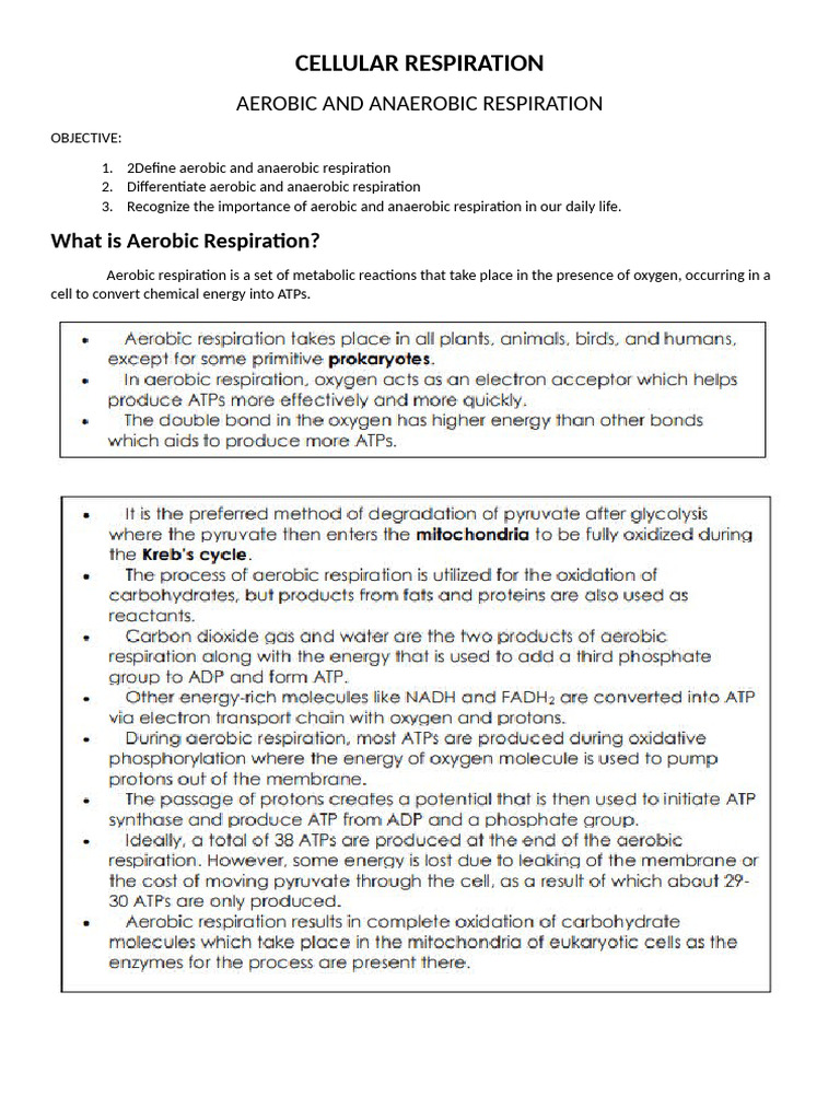 Topic 5. Cellular Respiration - Aerobic and Anaerobic Respiration | PDF ...