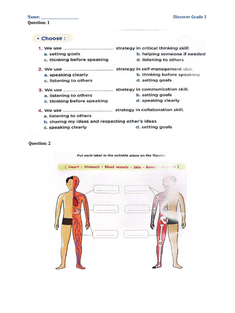 Grade 3 Discovery Questions Guide | PDF