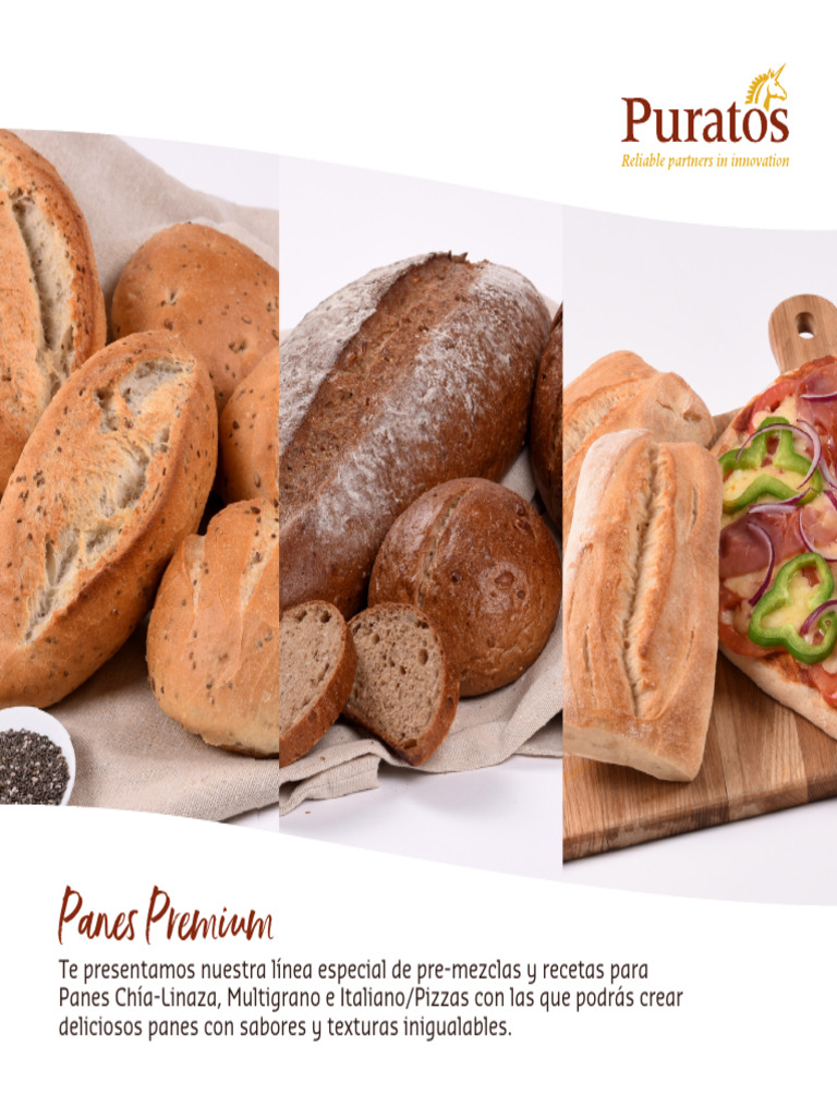 Recetario de Panes Premium 1Kg R2 | PDF | Panes | Pizza