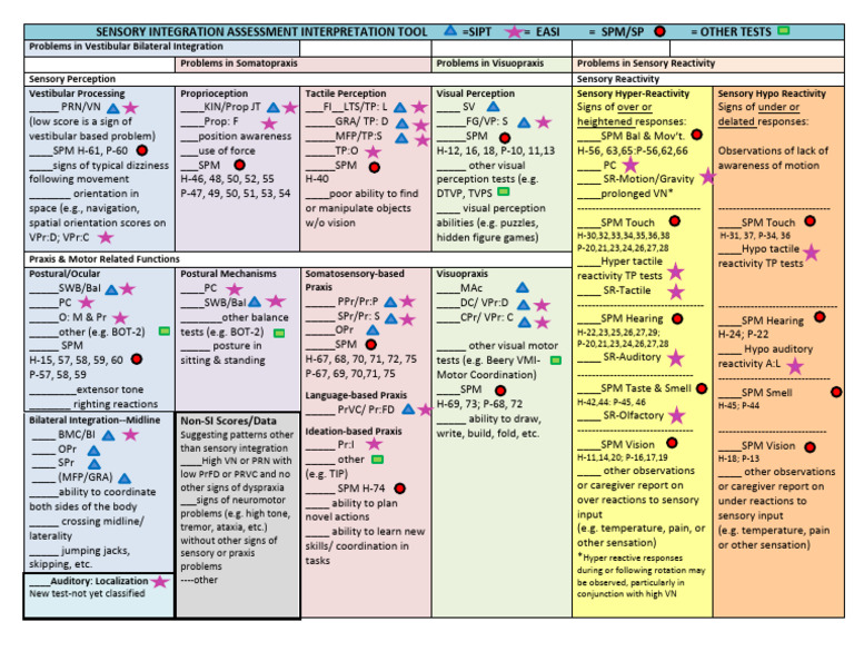 Assessment Tool Sipt Easi | PDF | Somatosensory System | Senses