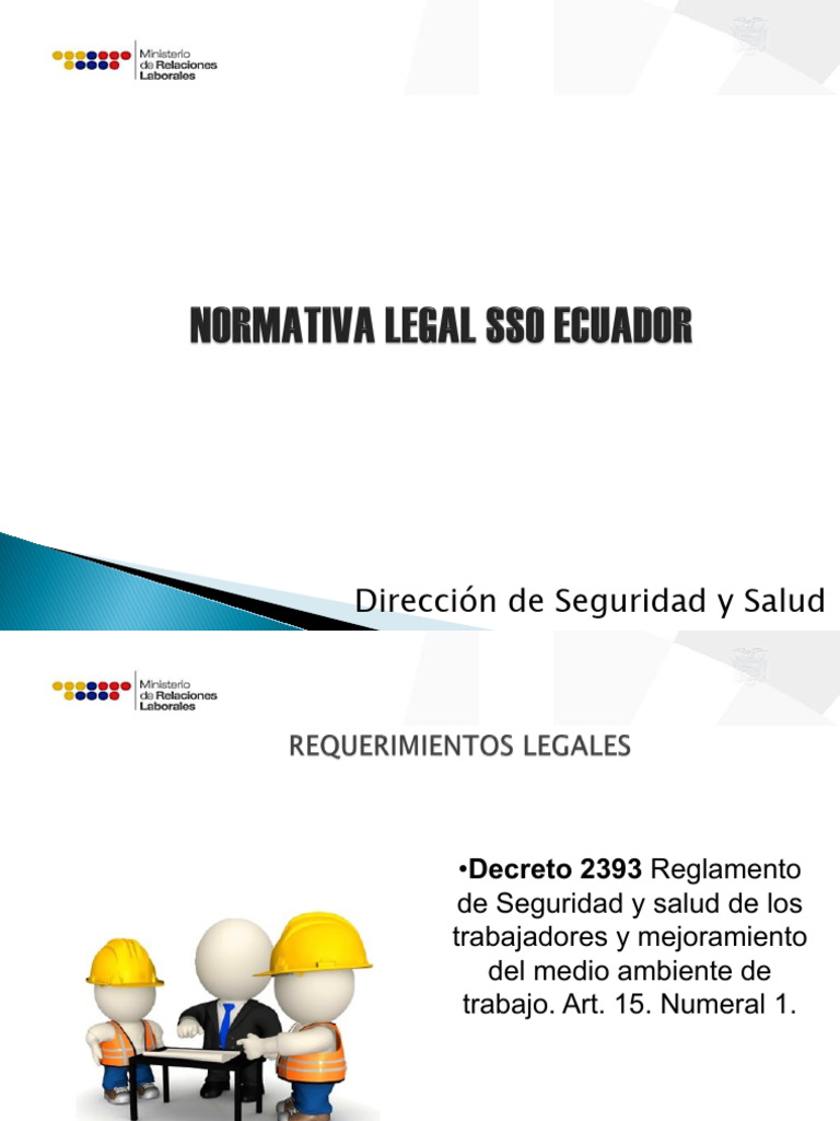Normativa Legal SSO | PDF