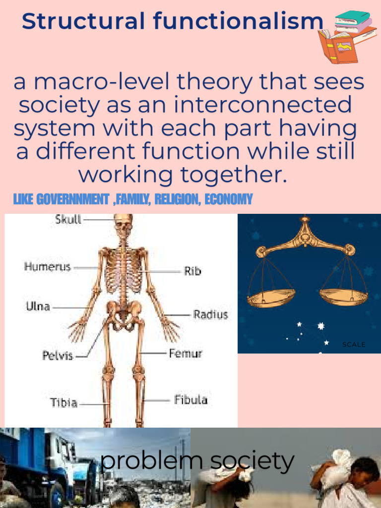 Structural Functionalism | PDF | Social Science | Science & Mathematics