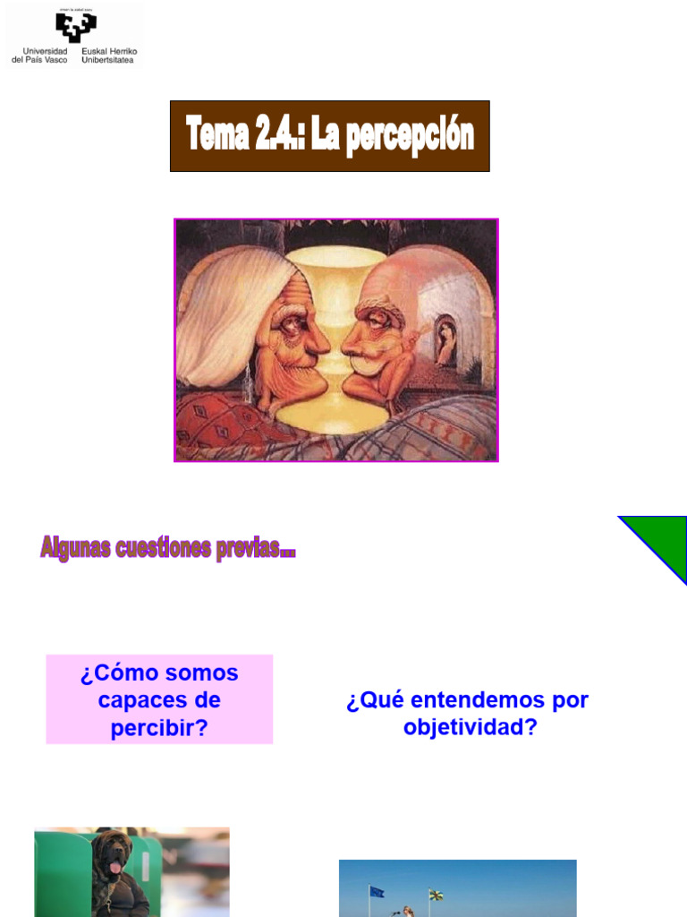 Tema 2.2. Percepci%C3%B3n - Tagged | PDF | Percepción | Experiencia