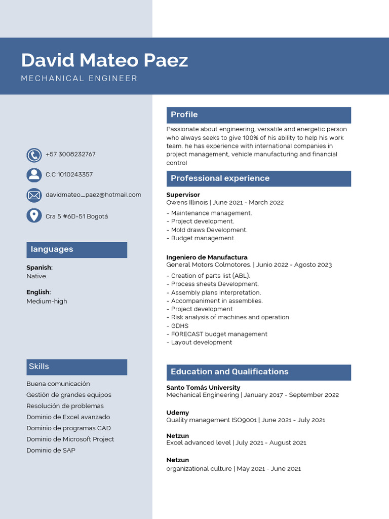 CV David Mateo Paez Cabanzo Eng | PDF | Art | Technology & Engineering