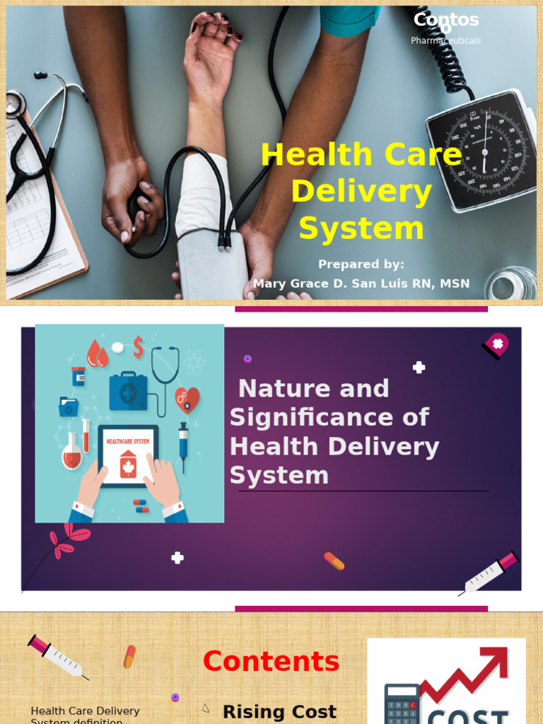 Challenges in Health Care Delivery System | PDF | Health Care | Ageing