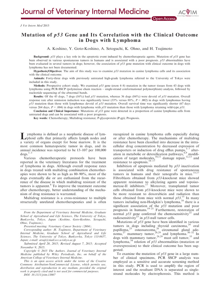 Mutation of p53 Gene and Its Correlation With The | PDF | P53 ...