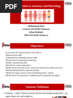 Body Cavities, Regions and Quadrants | PDF | Abdomen | Anatomy