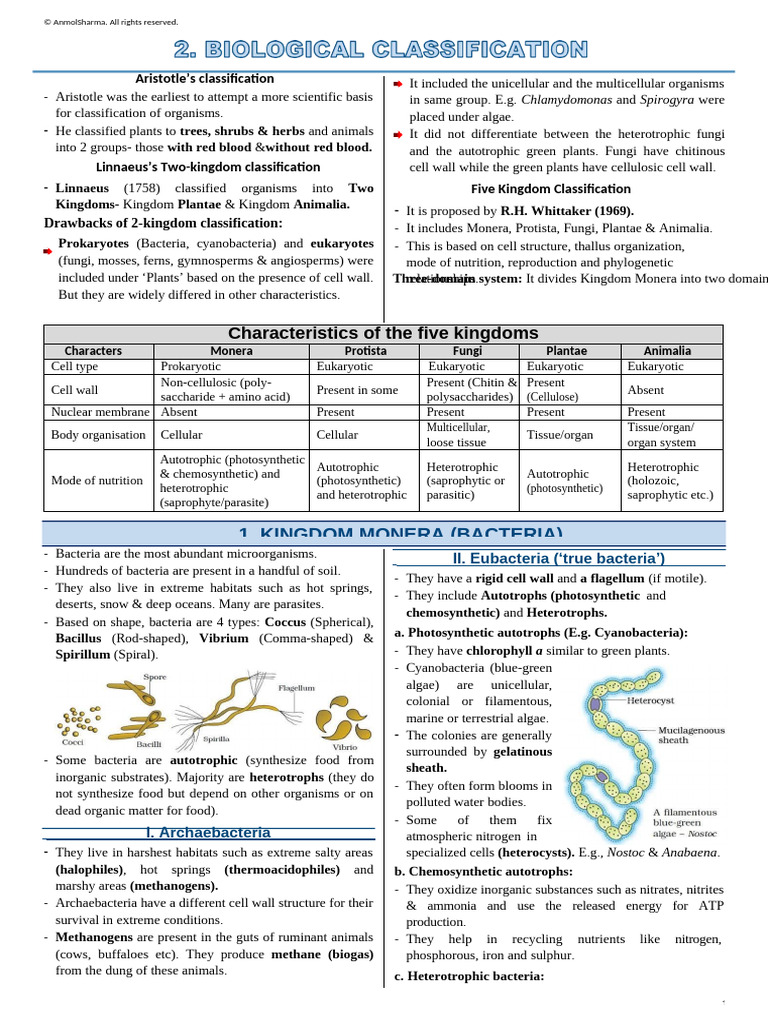 Biological Classification | PDF | Fungus | Sexual Reproduction