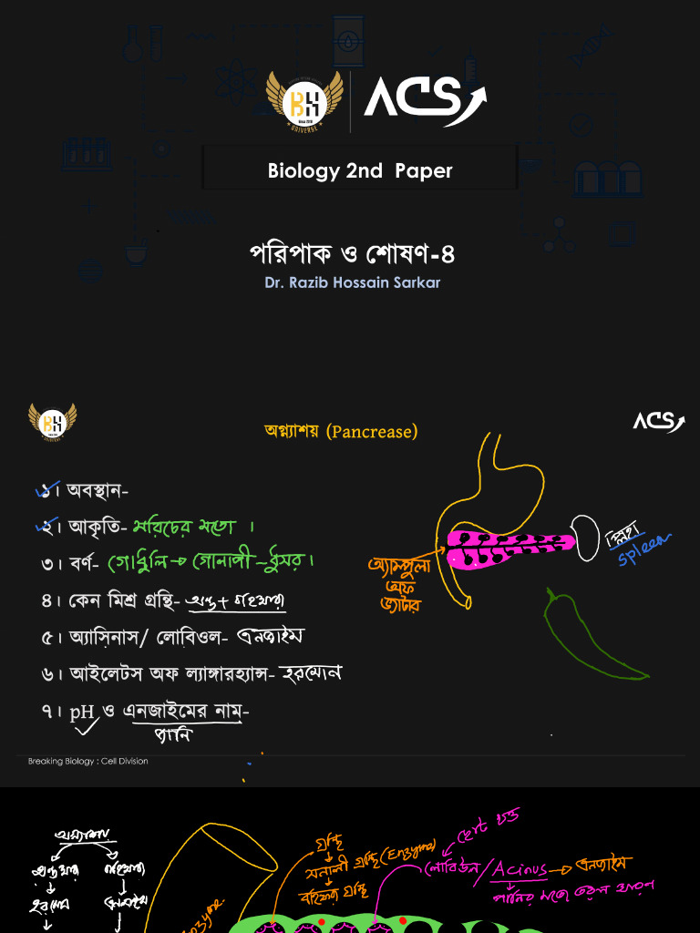 Cycle 2 Digestion and Absorption 4 Slide | PDF