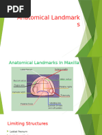 Anatomical Landmarks of Maxilla and Mandible | PDF