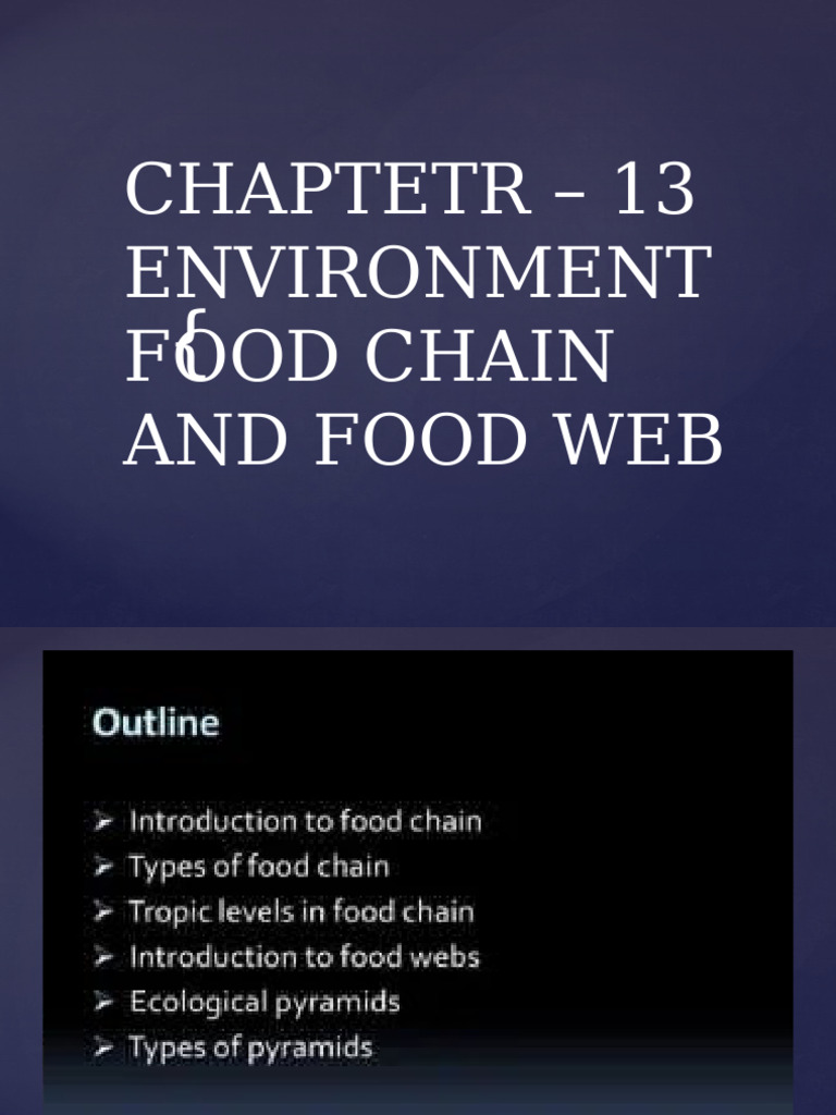 Rakshini Environment | PDF