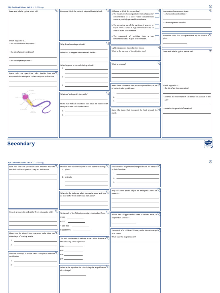Cell Biology Foundation Revision Activity Mat (1) | PDF | Cell (Biology ...