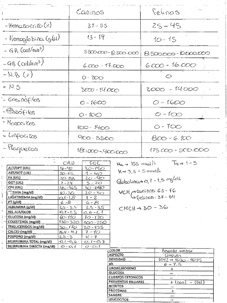 PHPA Carpeta 1 Agos y Sora - Compressed | PDF