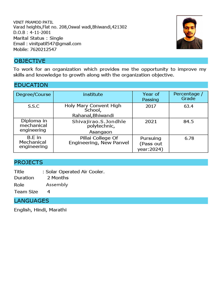 Vinit Resume | PDF | Career & Growth