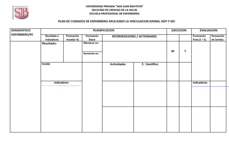 Plan de Cuidados Vinculacion NNN 2024 I | PDF