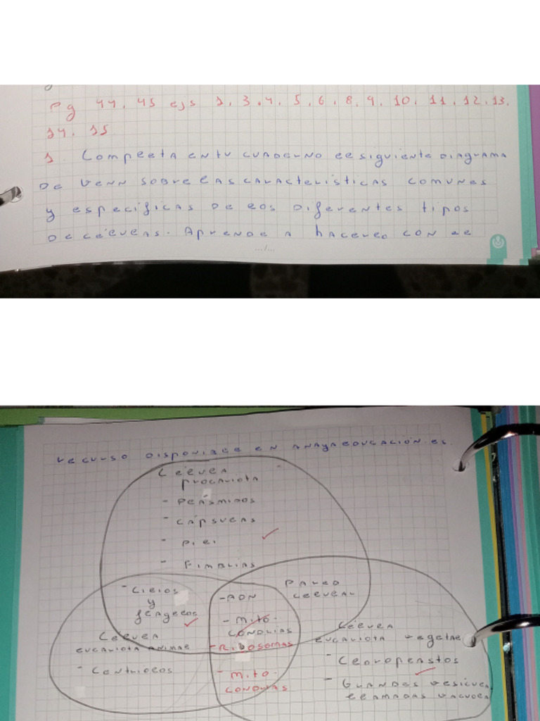 Actividades Libreta Tema 1.-Lucía Díaz Urbano. | PDF