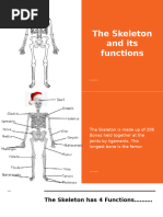 AQA GCSE PE - Workbook 1 - The Skeleton | PDF | Anatomy ...