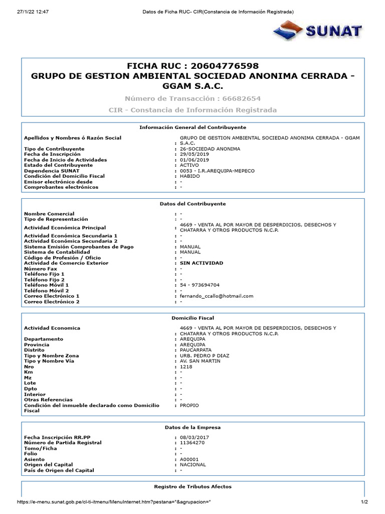 Ficha Ruc Actualizada 01-2022 | PDF | Industrias de servicio