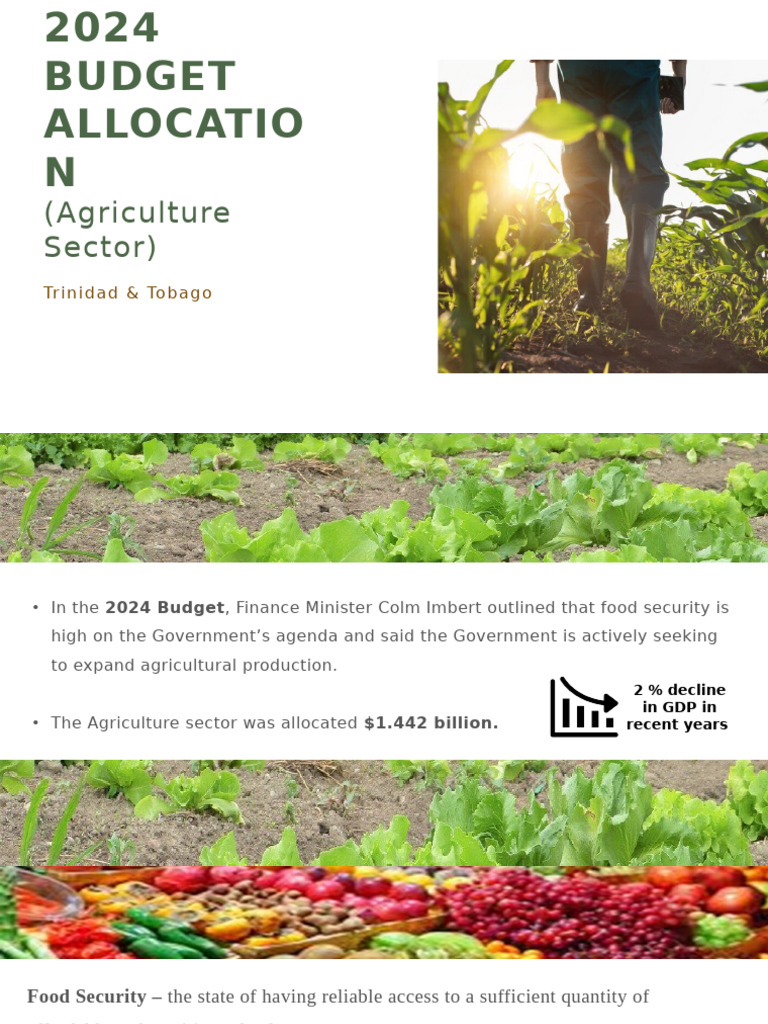 2024 Agriculture Budget Allocation Insights | PDF | Food Security ...