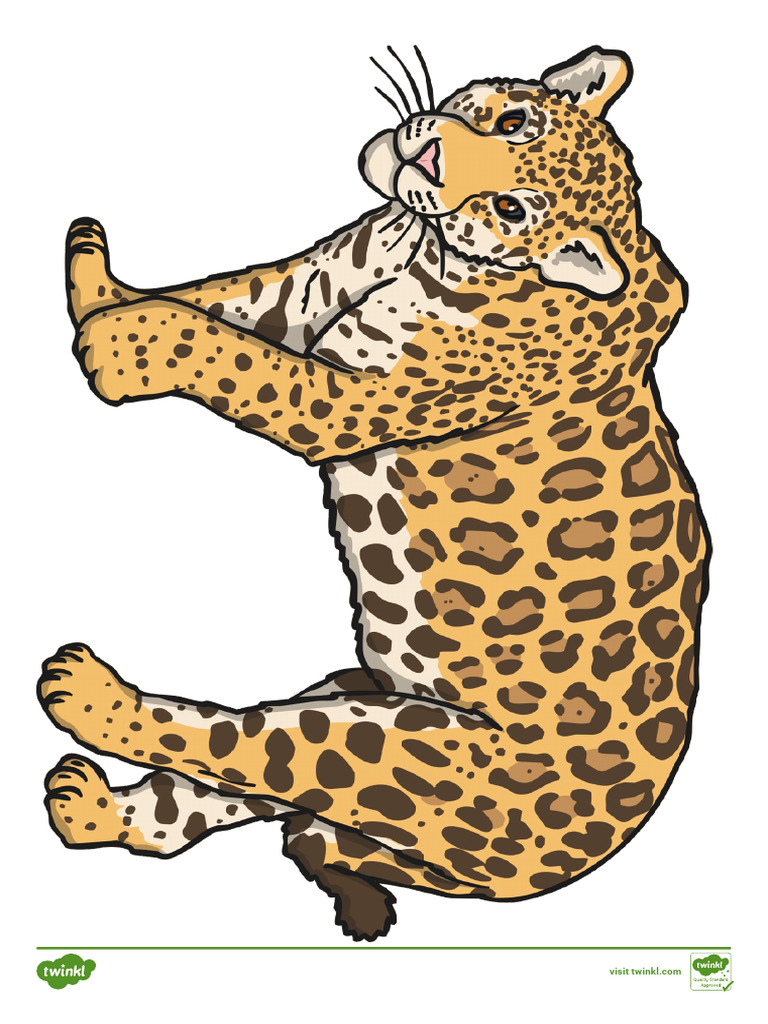 Rainforest Animal Display Cut-Outs | PDF