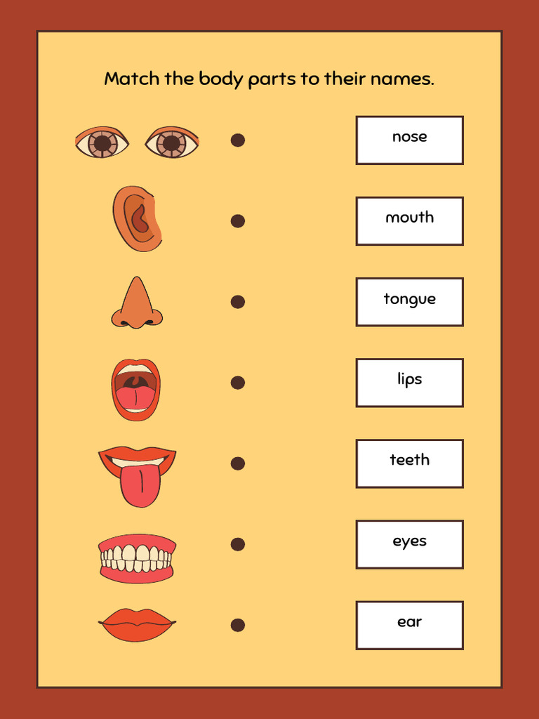 Body Parts Identification Worksheet | PDF